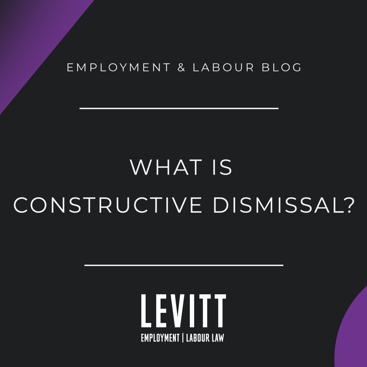 What Is Constructive Dismissal Levitt Sheikh Employment Labour Lawyers